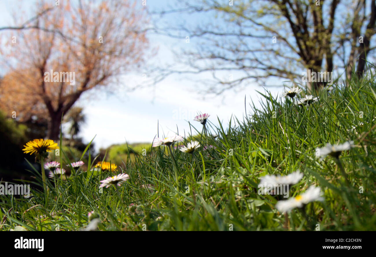 British Countryside in Spring time Stock Photo - Alamy