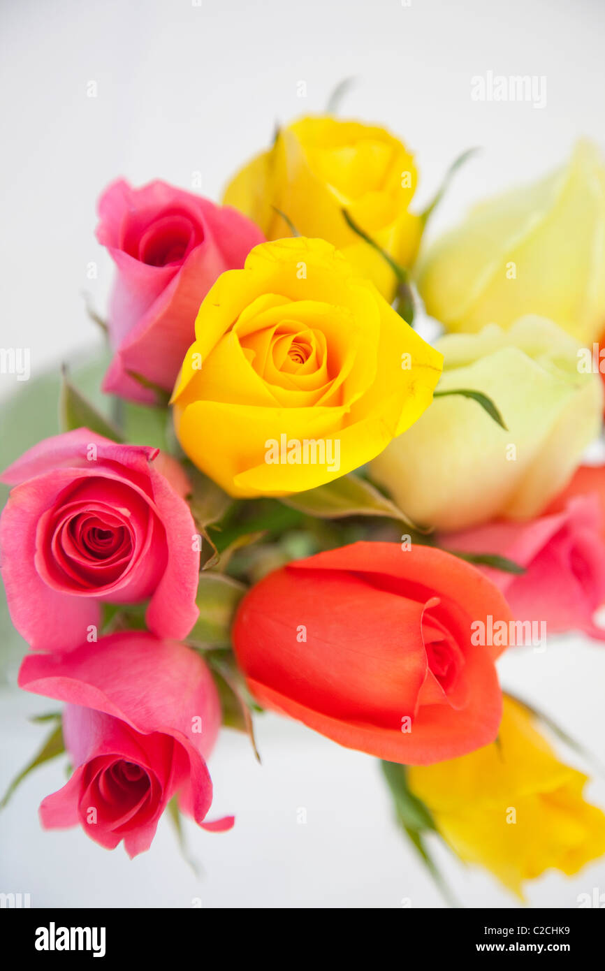 bouquet of roses Stock Photo - Alamy