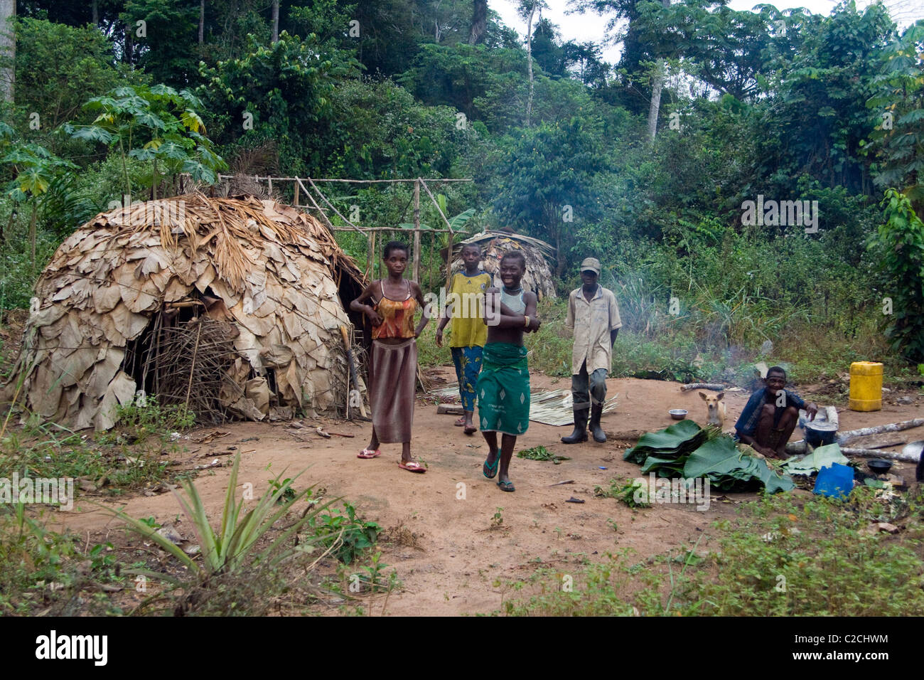 Pygmies in the forest,Republic of Congo Stock Photo - Alamy