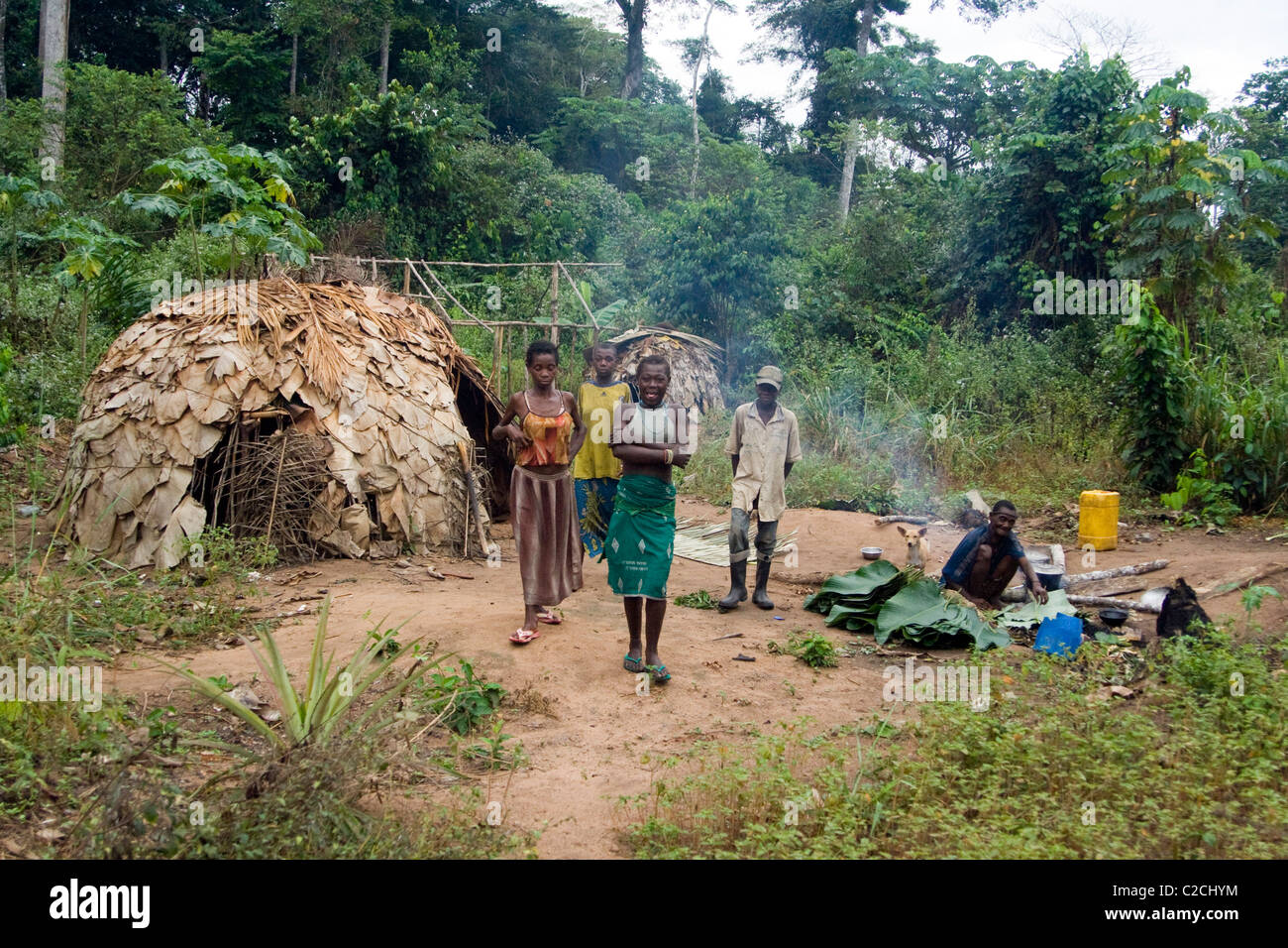 Pygmies in the forest,Republic of Congo Stock Photo - Alamy