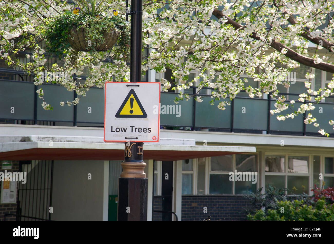 Sign warning of low trees, London, England, UK Stock Photo - Alamy