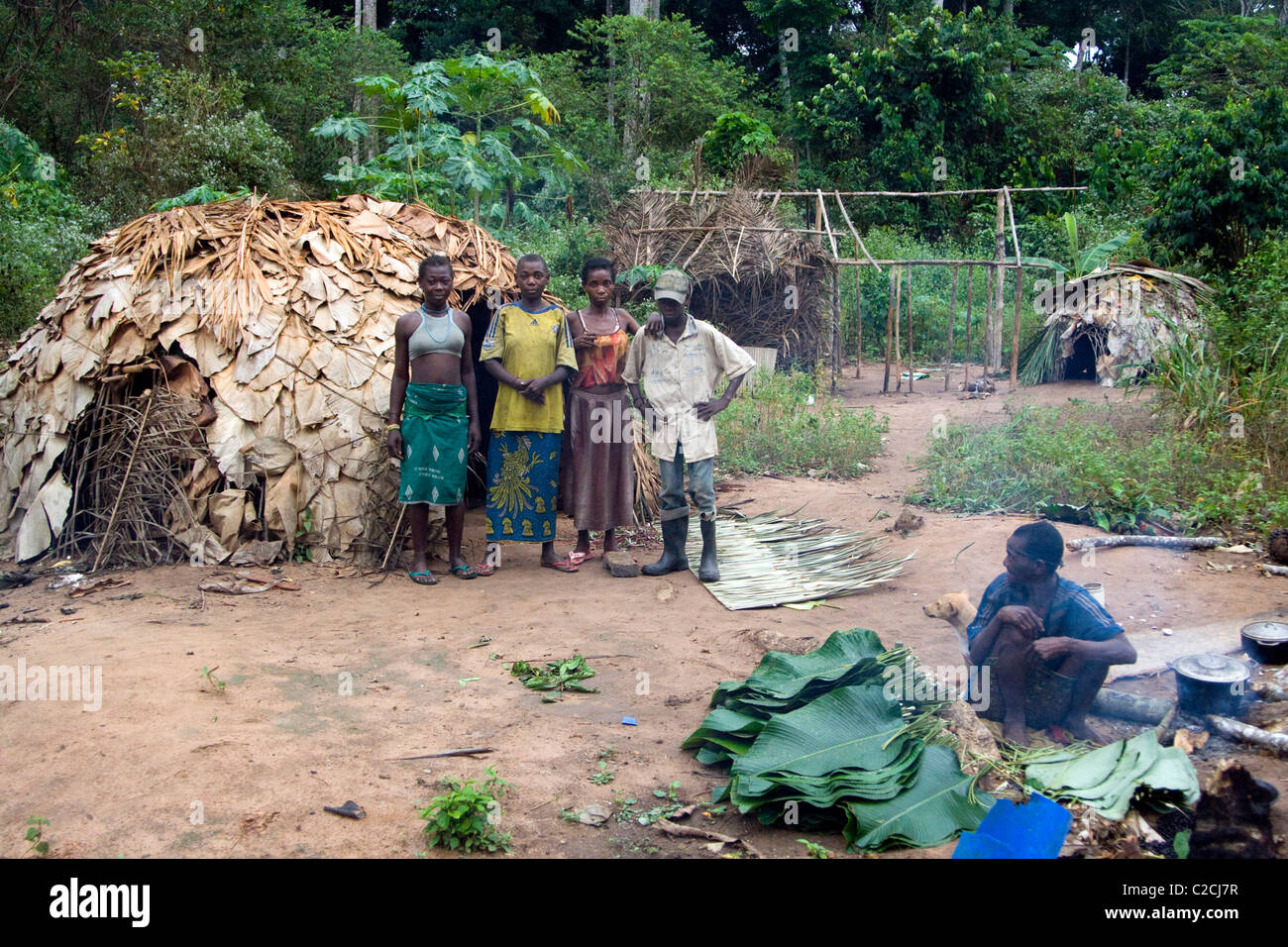 Pygmies in forest republic congo hi-res stock photography and images ...