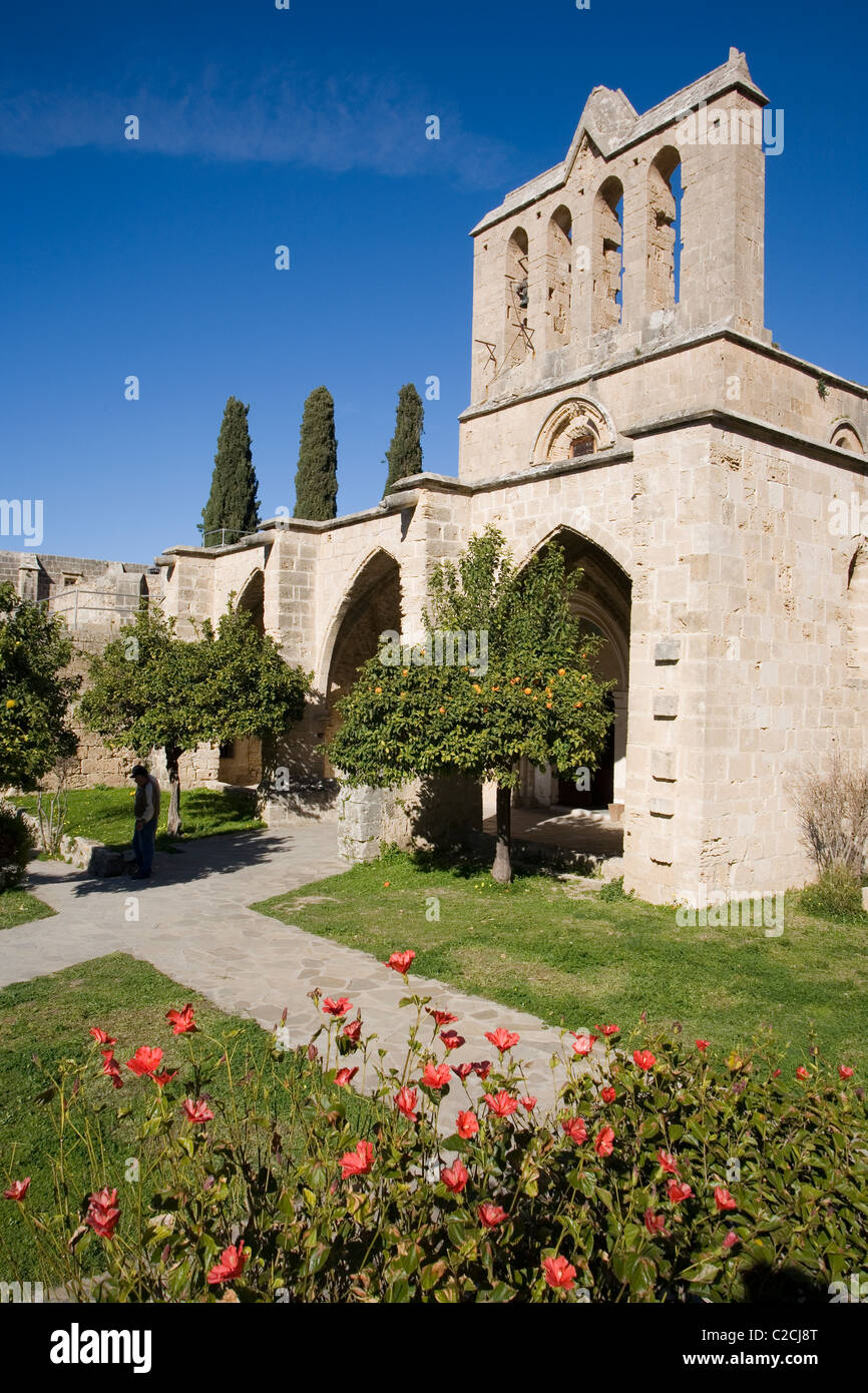 Cyprus roses hi-res stock photography and images - Alamy