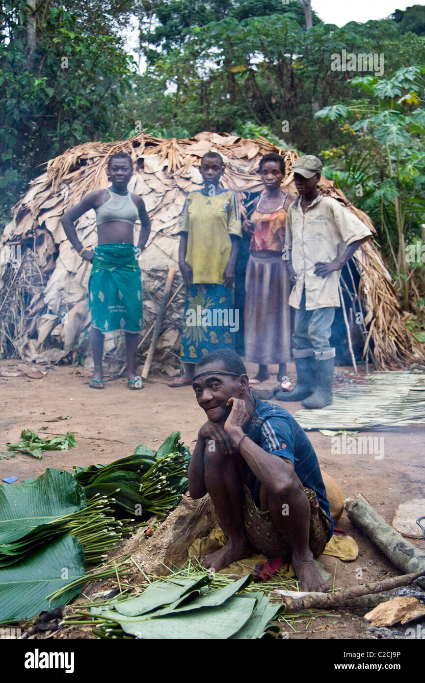 Pygmies in the forest,Republic of Congo Stock Photo - Alamy