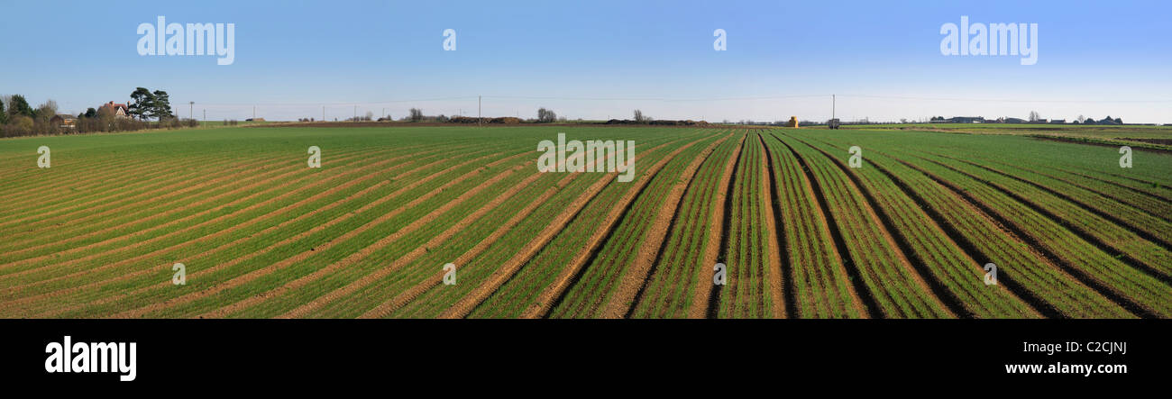 farm farming agriculture buildings field Stock Photo - Alamy