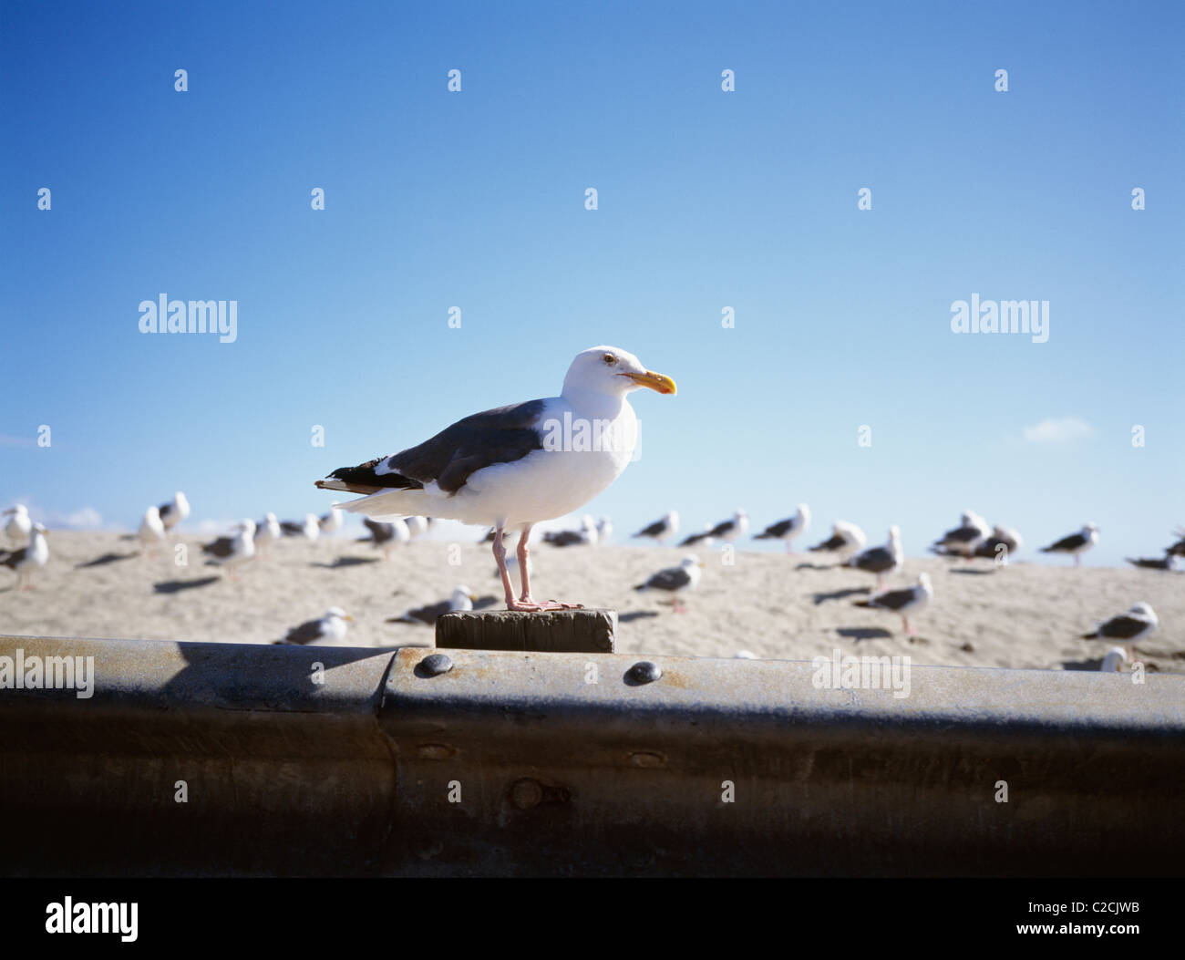 Tierra Del Mar Oregon USA Stock Photo - Alamy
