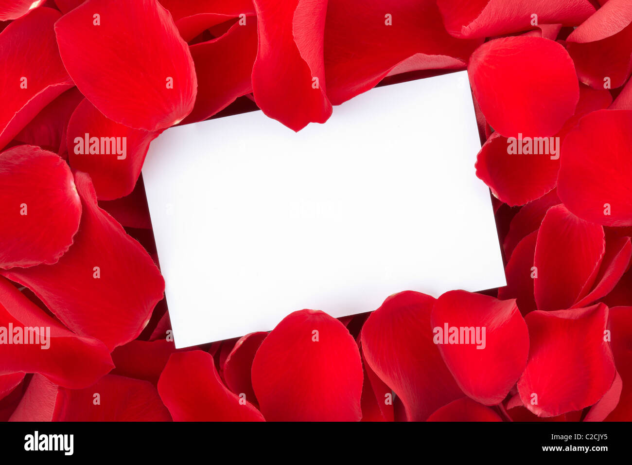 Red rose petals with blank card Stock Photo - Alamy