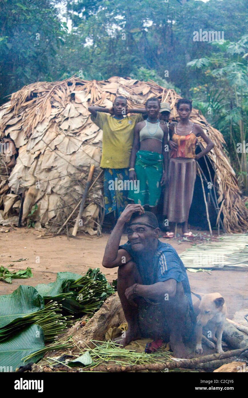 Pygmies in the forest,Republic of Congo Stock Photo - Alamy