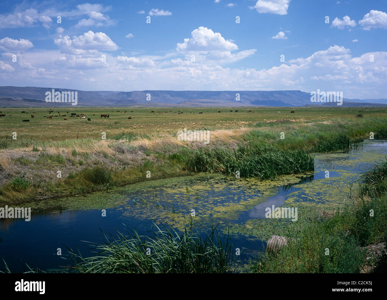 Catlow Valley Oregon USA Stock Photo - Alamy