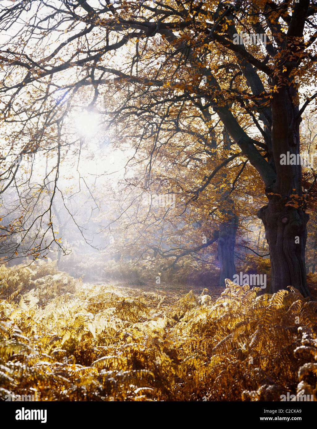 Burnham Buckinghamshire England Stock Photo - Alamy