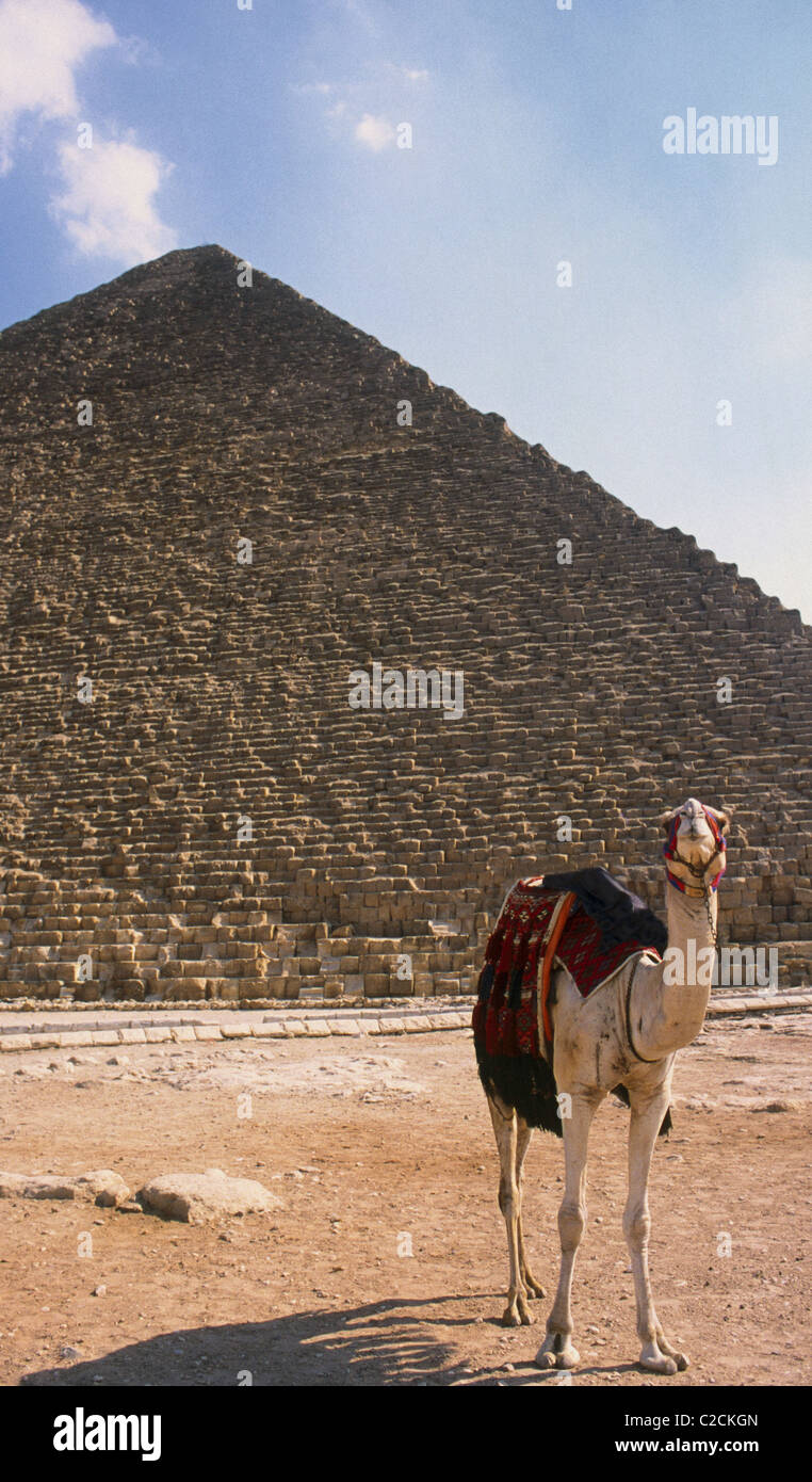 Great Pyramid of Cheops. Giza. Egypt Stock Photo - Alamy