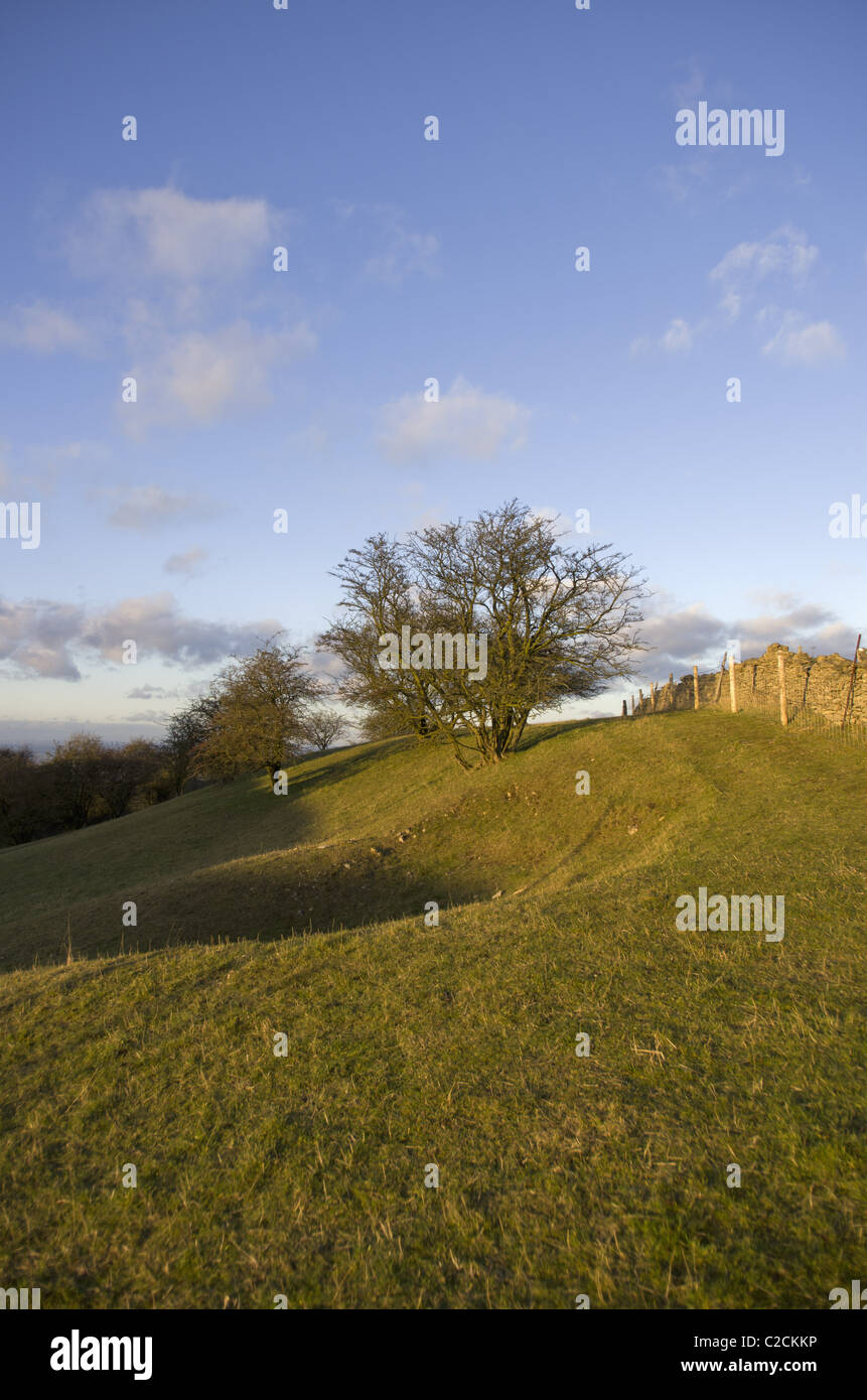broadway tower country park cotswolds worcestershire Stock Photo - Alamy