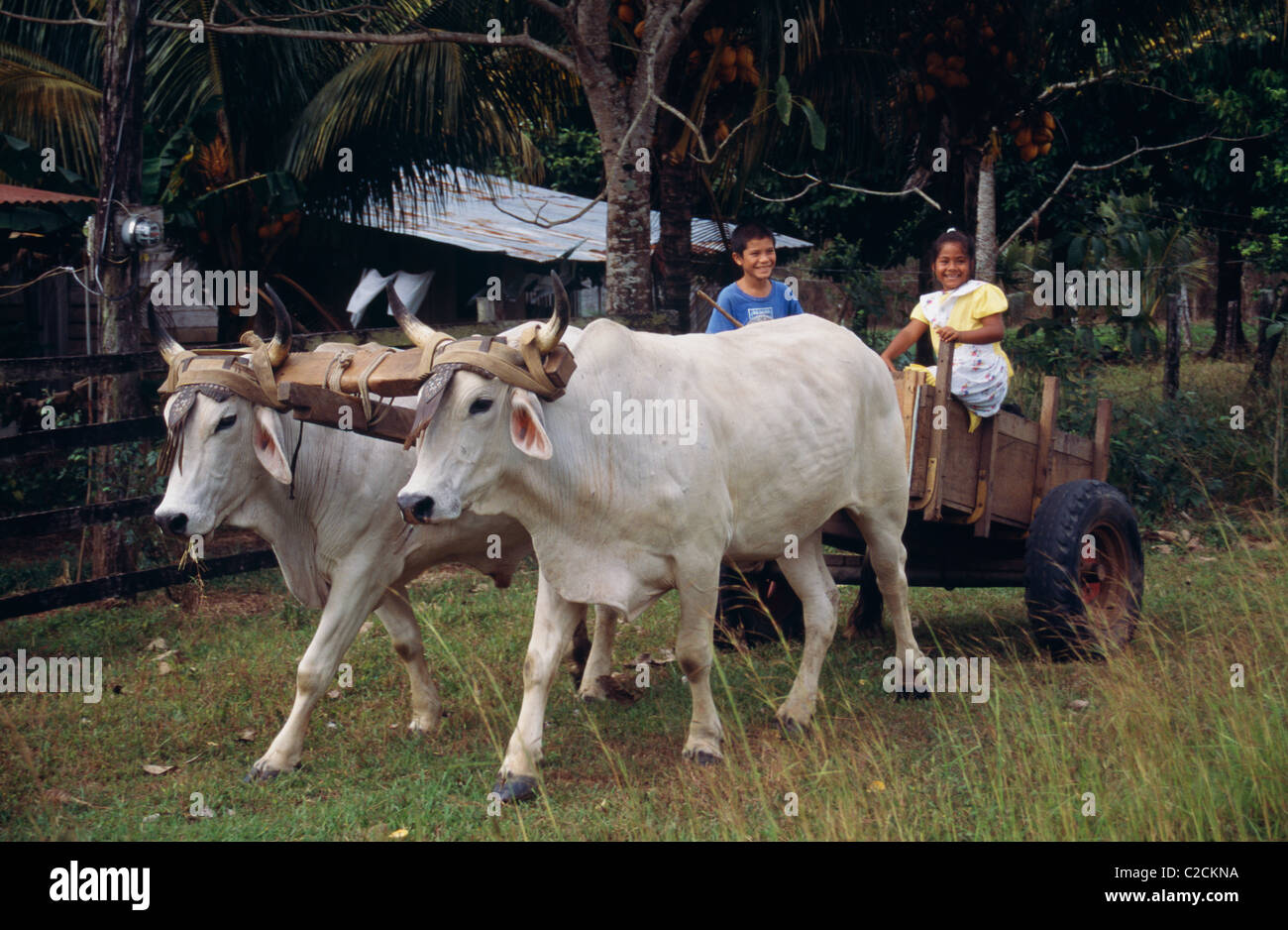 Costa rica people cart hi-res stock photography and images - Alamy