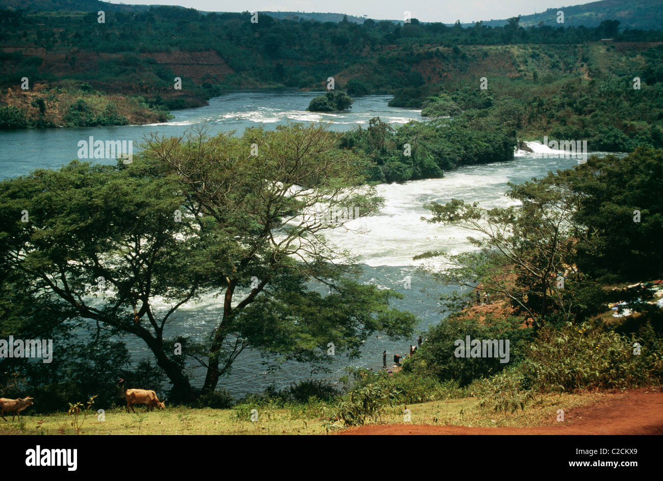 Basoga tribal land hi-res stock photography and images - Alamy