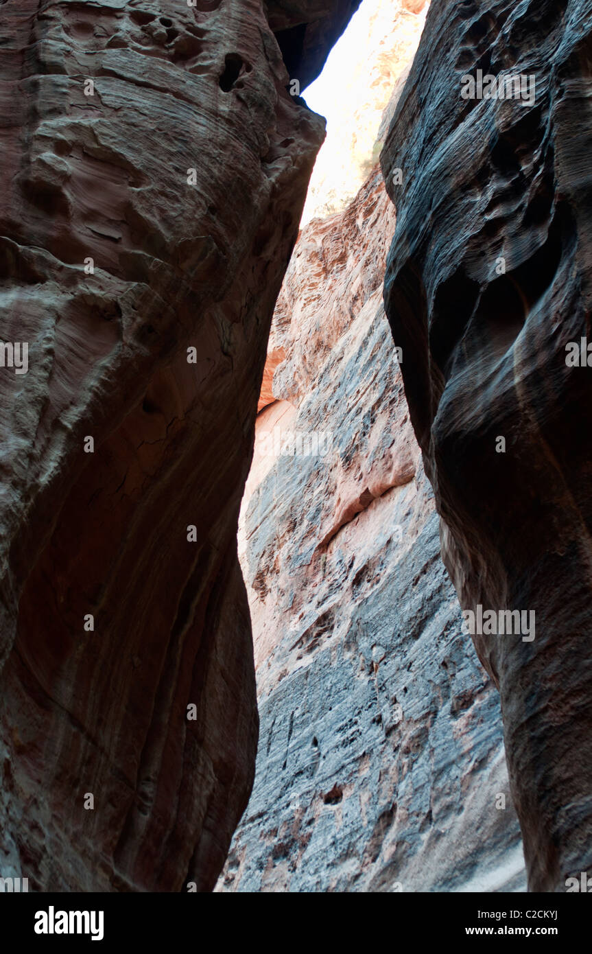 Ancient rock formation in Petra, Jordan Stock Photo - Alamy