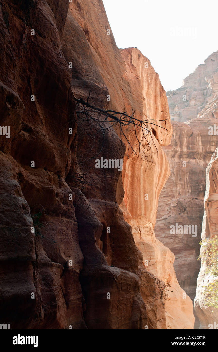 Ancient rock formation hi-res stock photography and images - Alamy