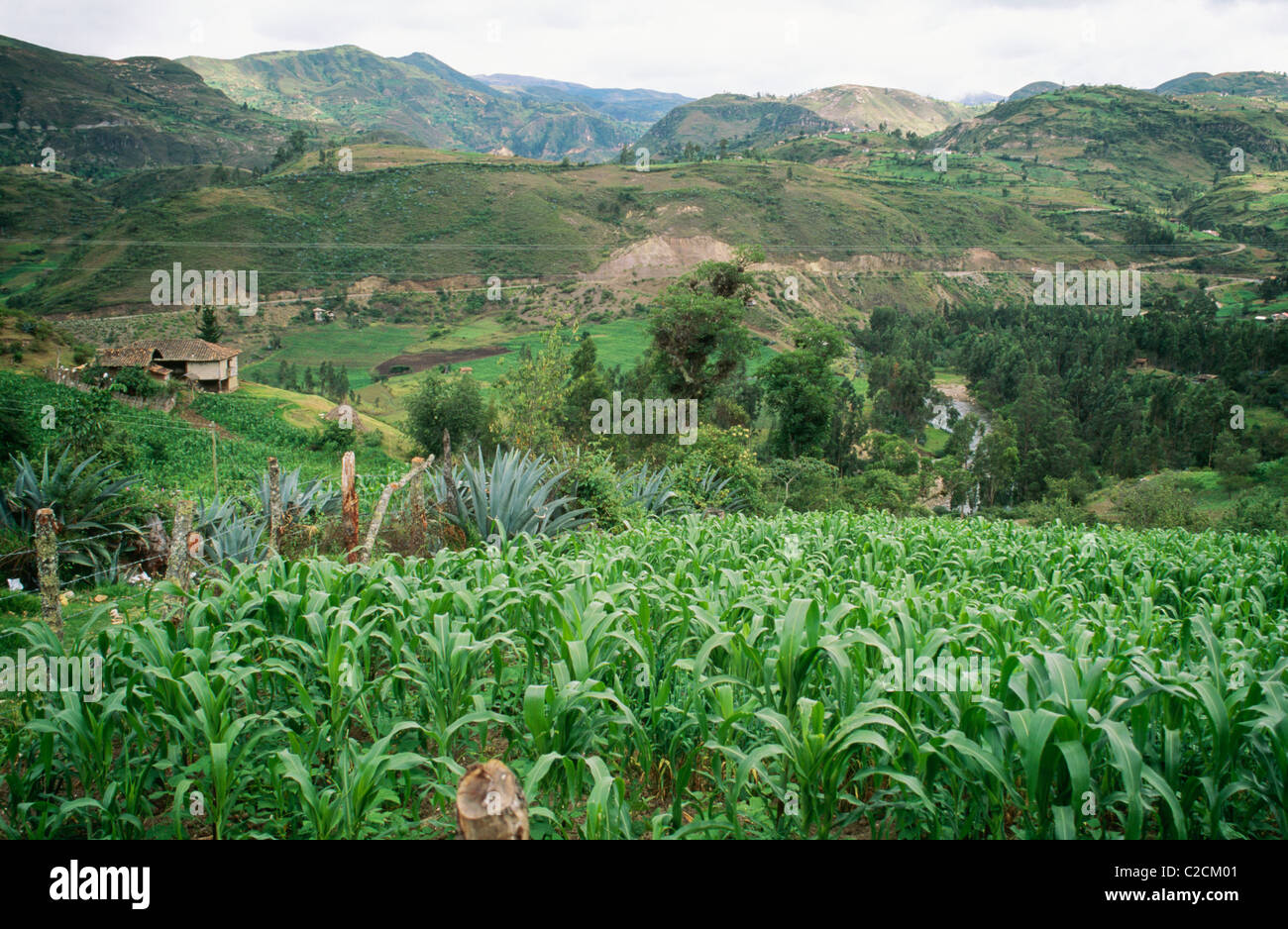 Andes Ecuador Stock Photo - Alamy