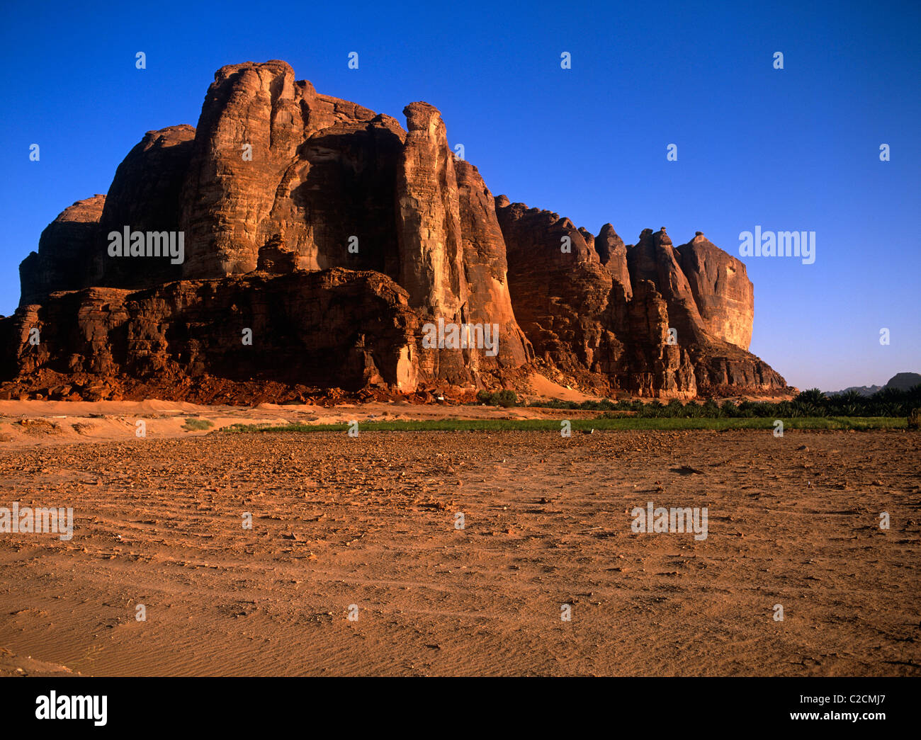 Al-Ula Oasis Saudi Arabia Stock Photo - Alamy