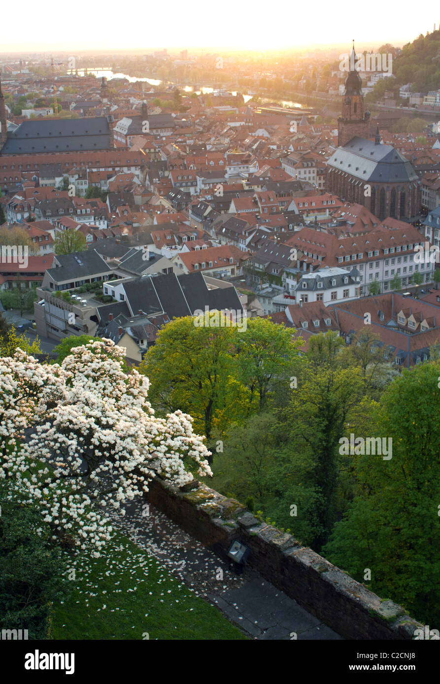 View of heidelberg from castle hi-res stock photography and images - Alamy