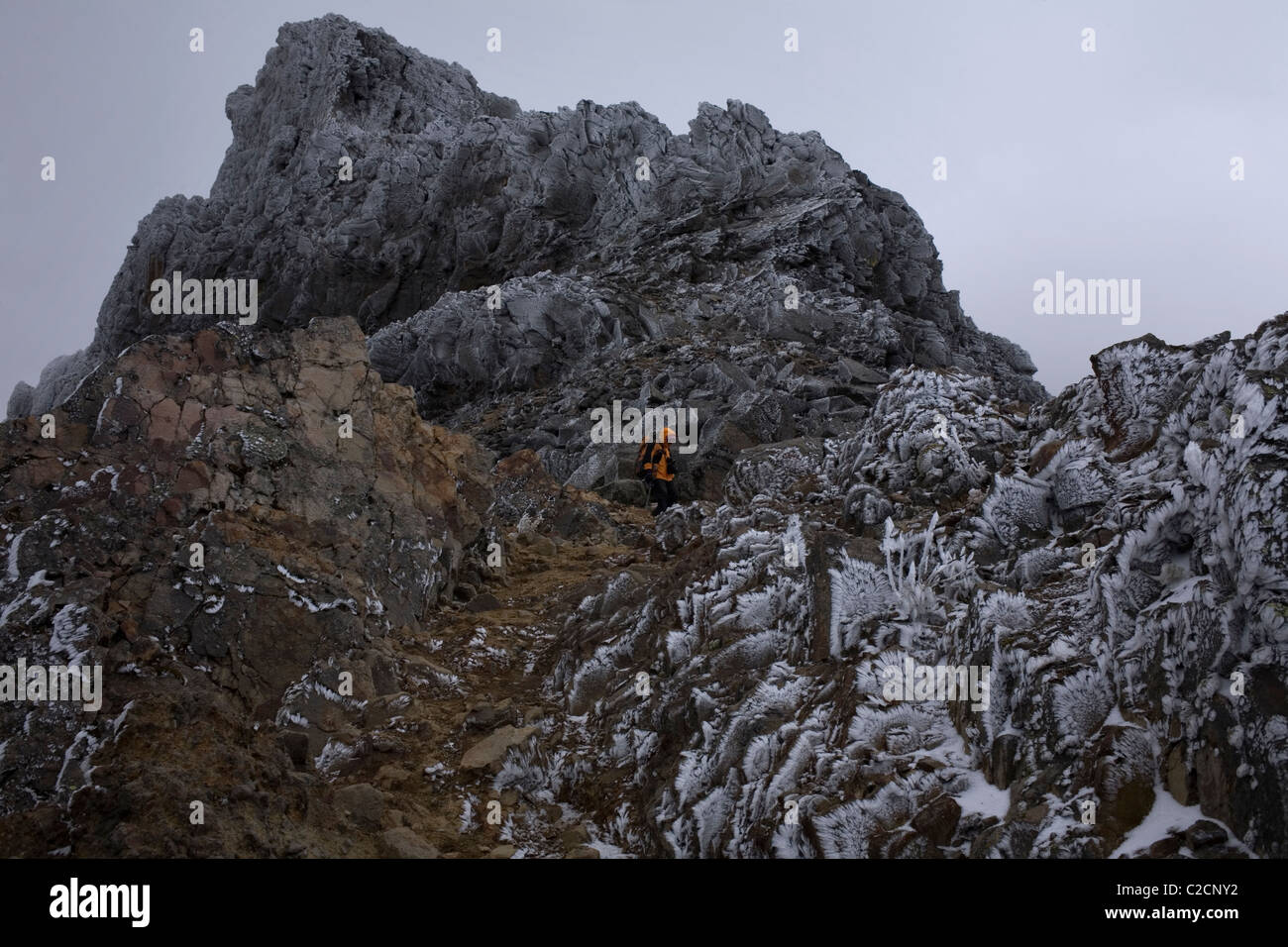 A woman walks during a trecking trip to the Volcano "Ixta" in the ...