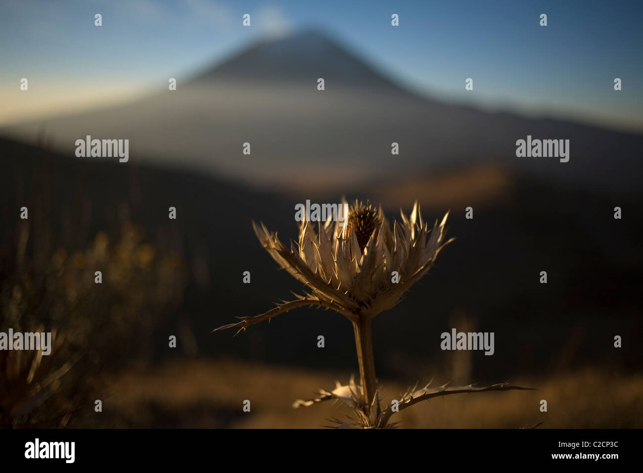 The Ixta volcano in the Iztaccihuatl-Popocatepetl National Park, near ...