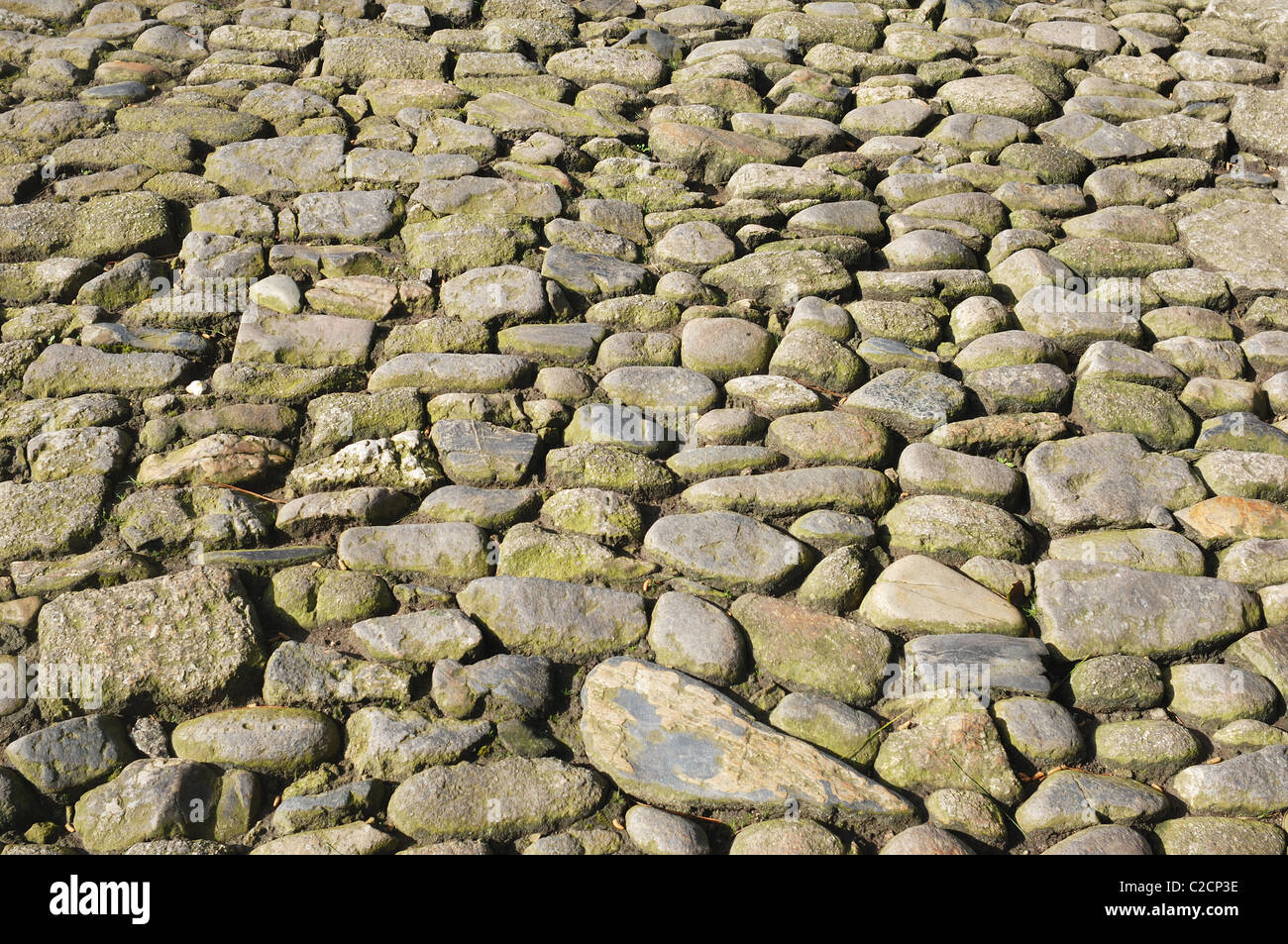 Cobbled pathway hi-res stock photography and images - Alamy