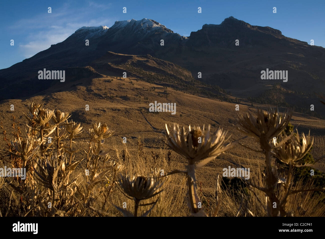 The Ixta volcano in the Iztaccihuatl-Popocatepetl National Park, near ...