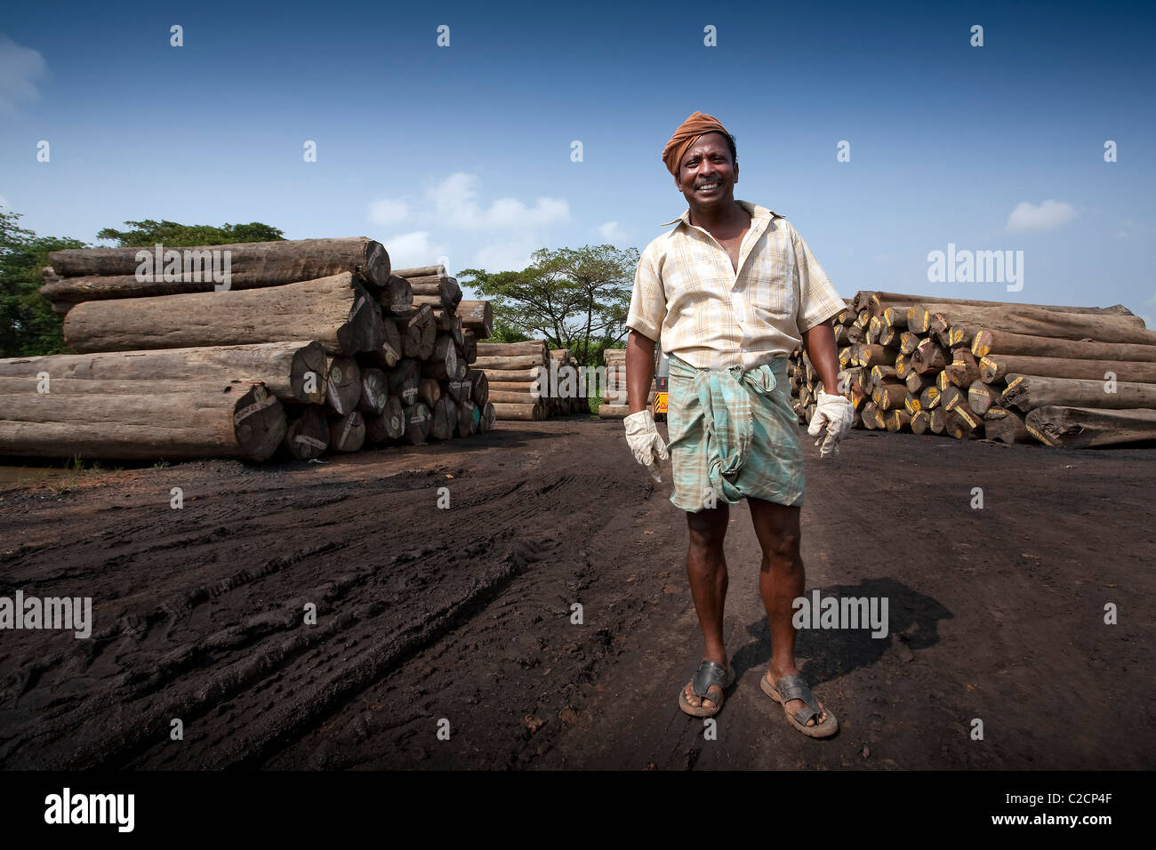 India man standing in front of logs at a timber yard, Fort Kochi ...