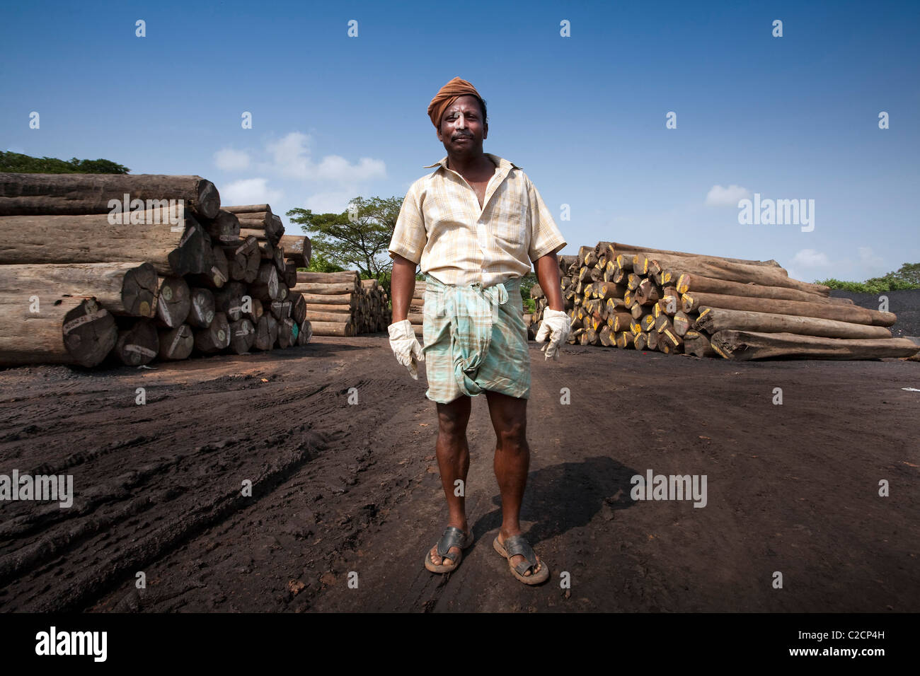 India man standing in front of logs at a timber yard, Fort Kochi ...