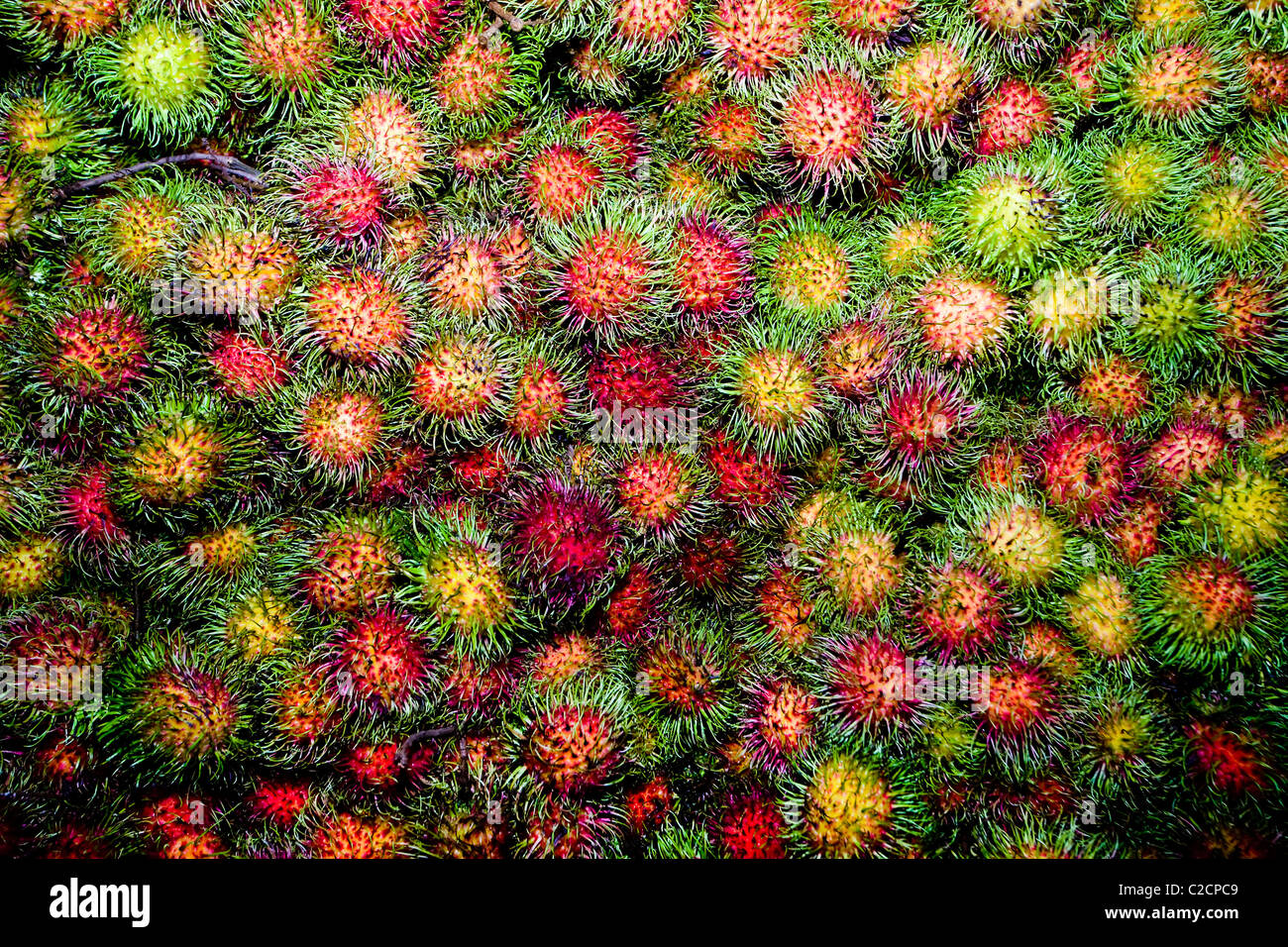 The spiky yet flavoursome Rambutan, Thai fruit. Thailand Asia Stock ...