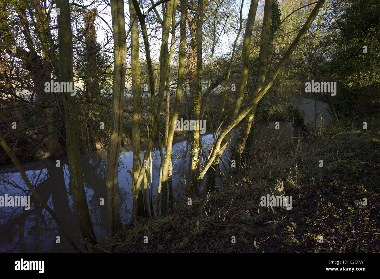 arrow valley country park redditch Stock Photo - Alamy