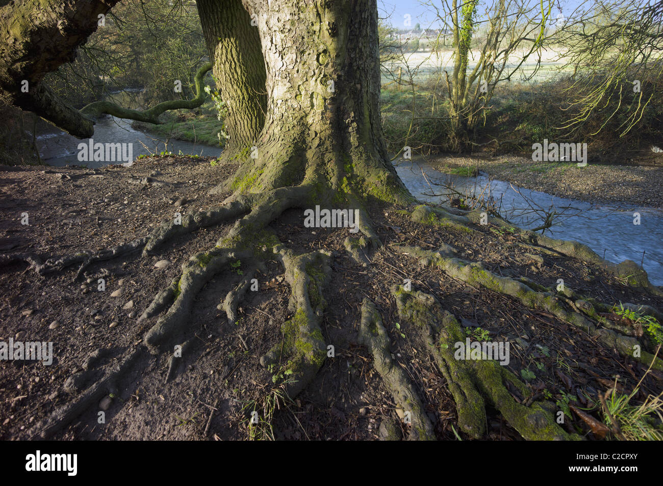 arrow valley country park redditch Stock Photo - Alamy