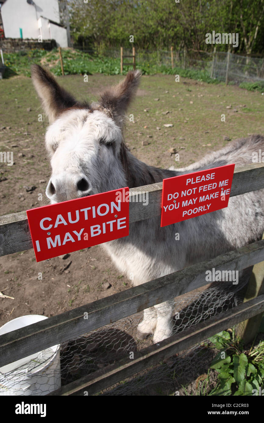 donkey behind warning sign Stock Photo - Alamy