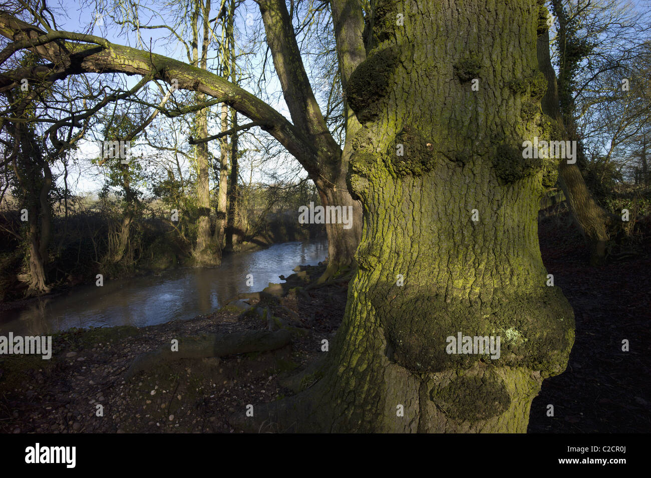 arrow valley country park redditch Stock Photo - Alamy