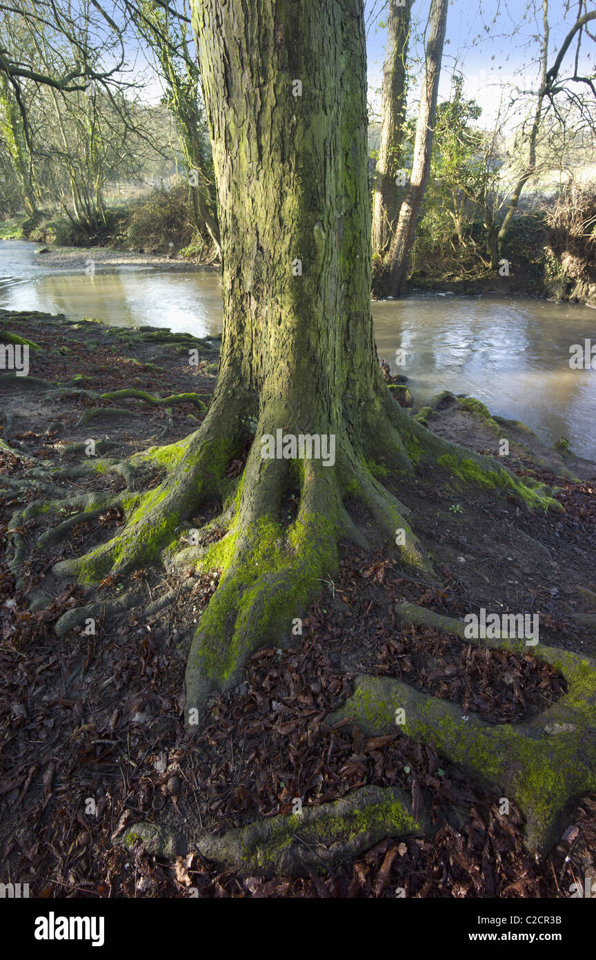 arrow valley country park redditch Stock Photo - Alamy