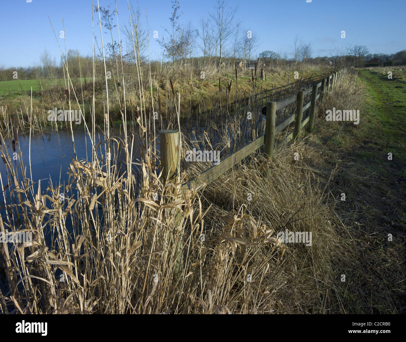 arrow valley country park redditch Stock Photo - Alamy