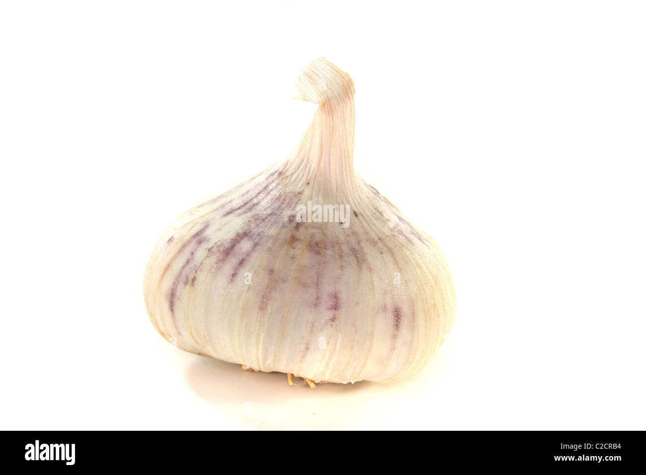 a garlic bulb on a white background Stock Photo - Alamy