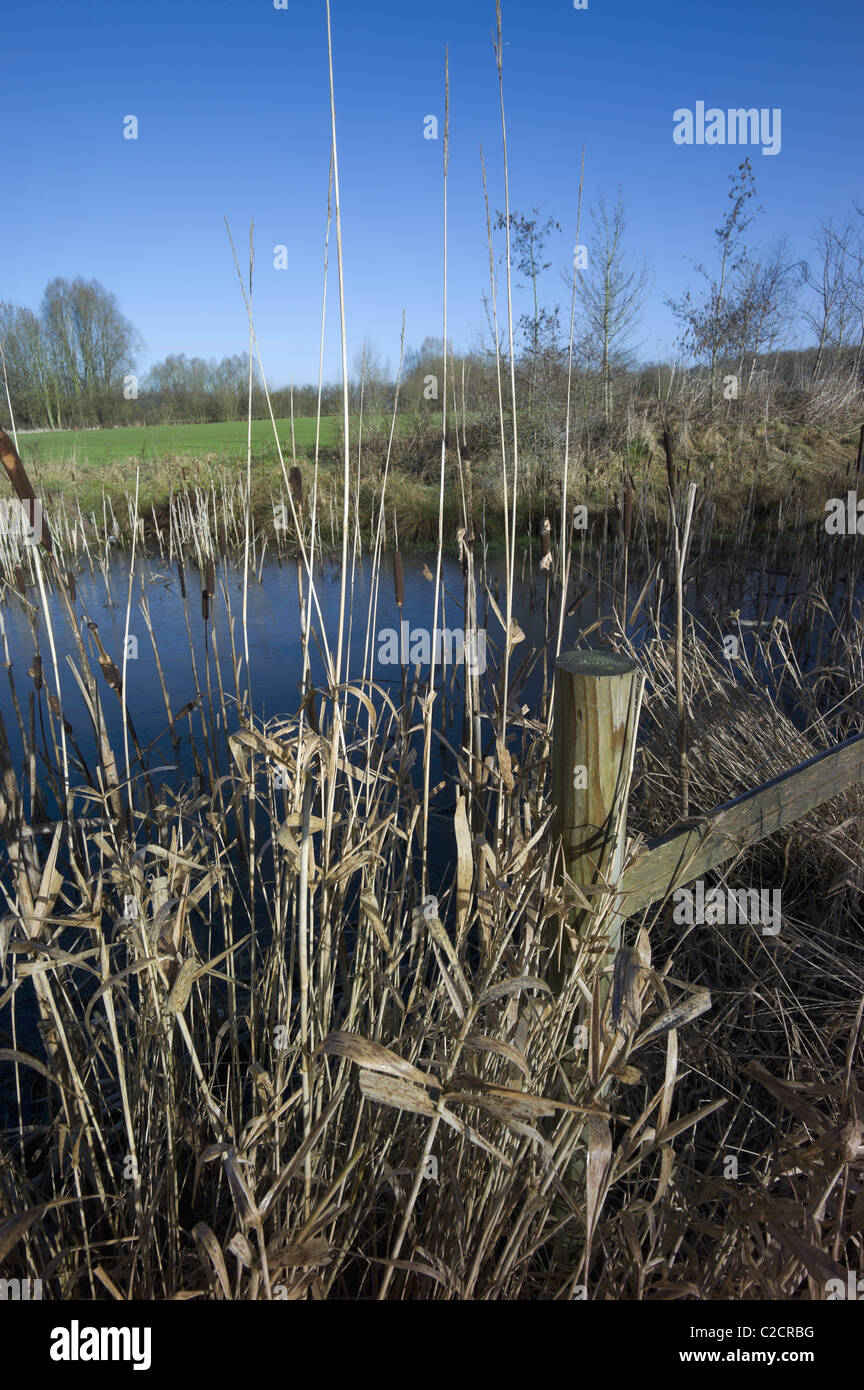 arrow valley country park redditch Stock Photo - Alamy