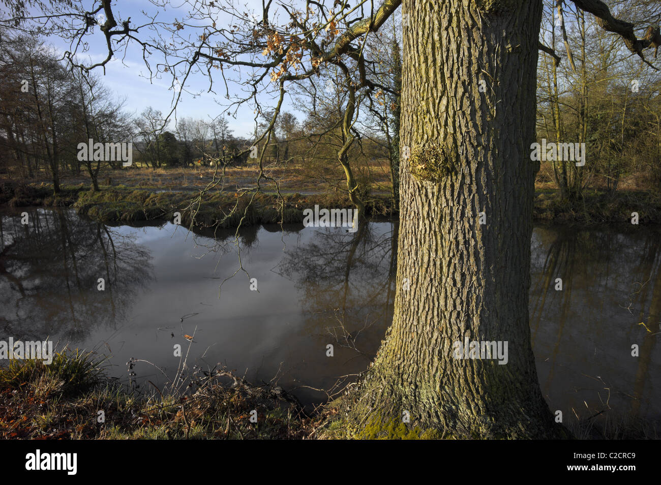 arrow valley country park redditch Stock Photo - Alamy