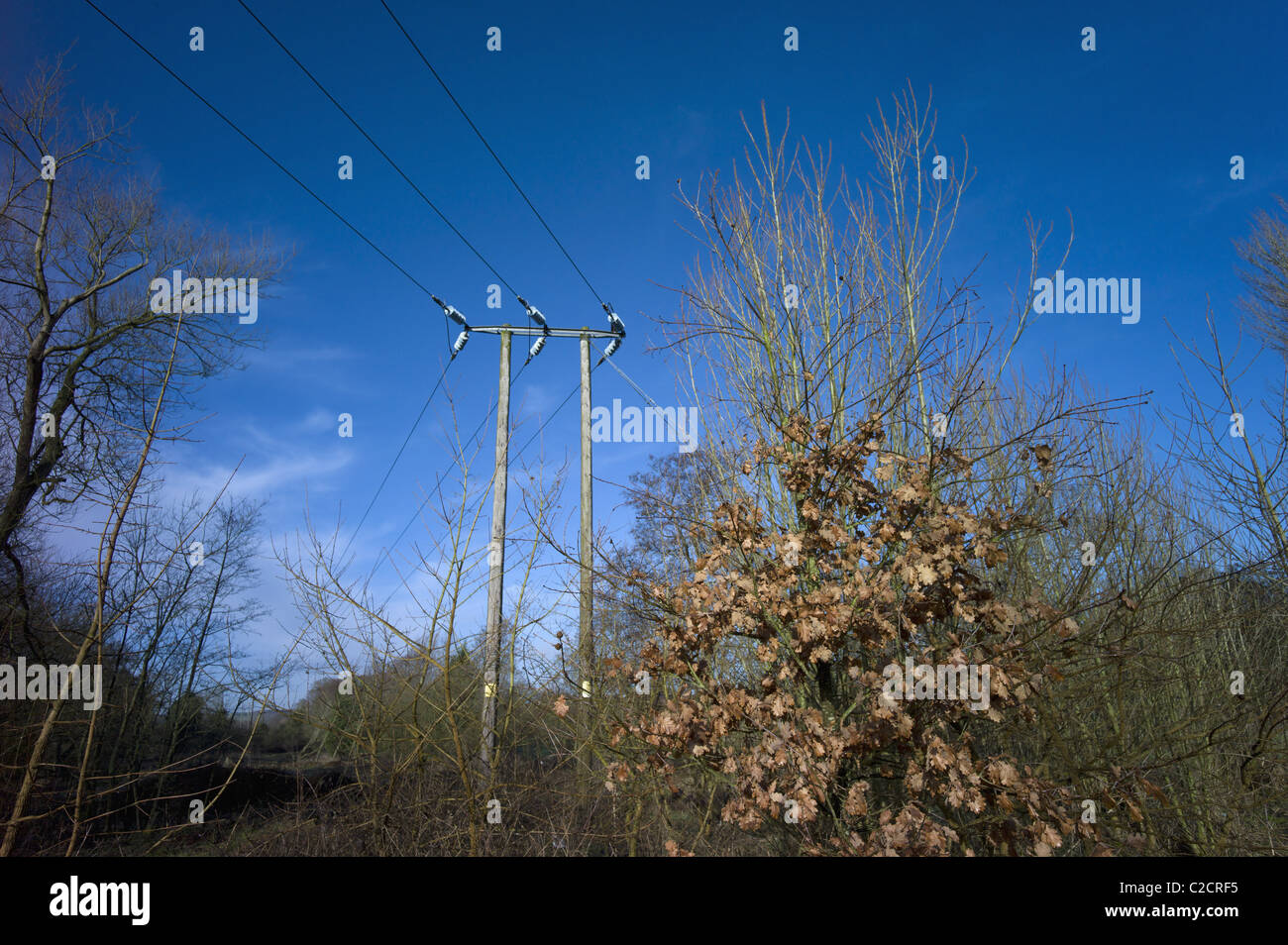 telegraph telephone wire cables power Stock Photo - Alamy
