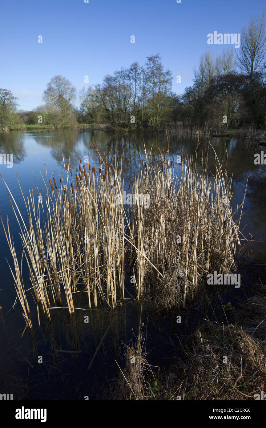 arrow valley country park redditch worcestershire Stock Photo - Alamy