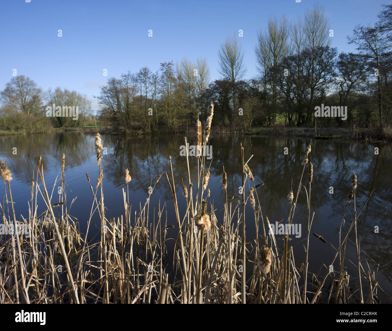 arrow valley country park redditch worcestershire Stock Photo - Alamy