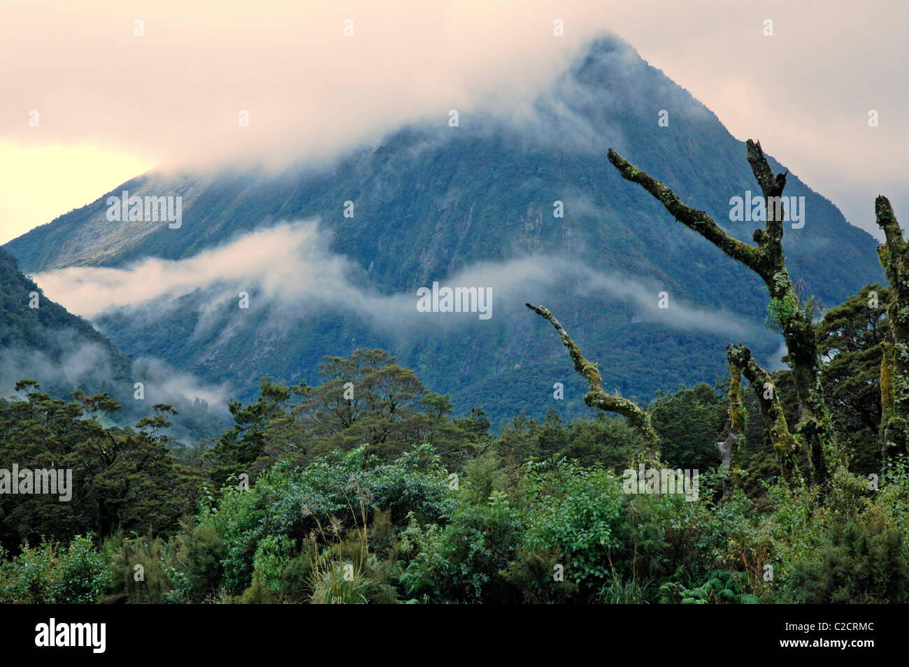 Mitre Peak, Milford Sound. New Zealand Stock Photo - Alamy