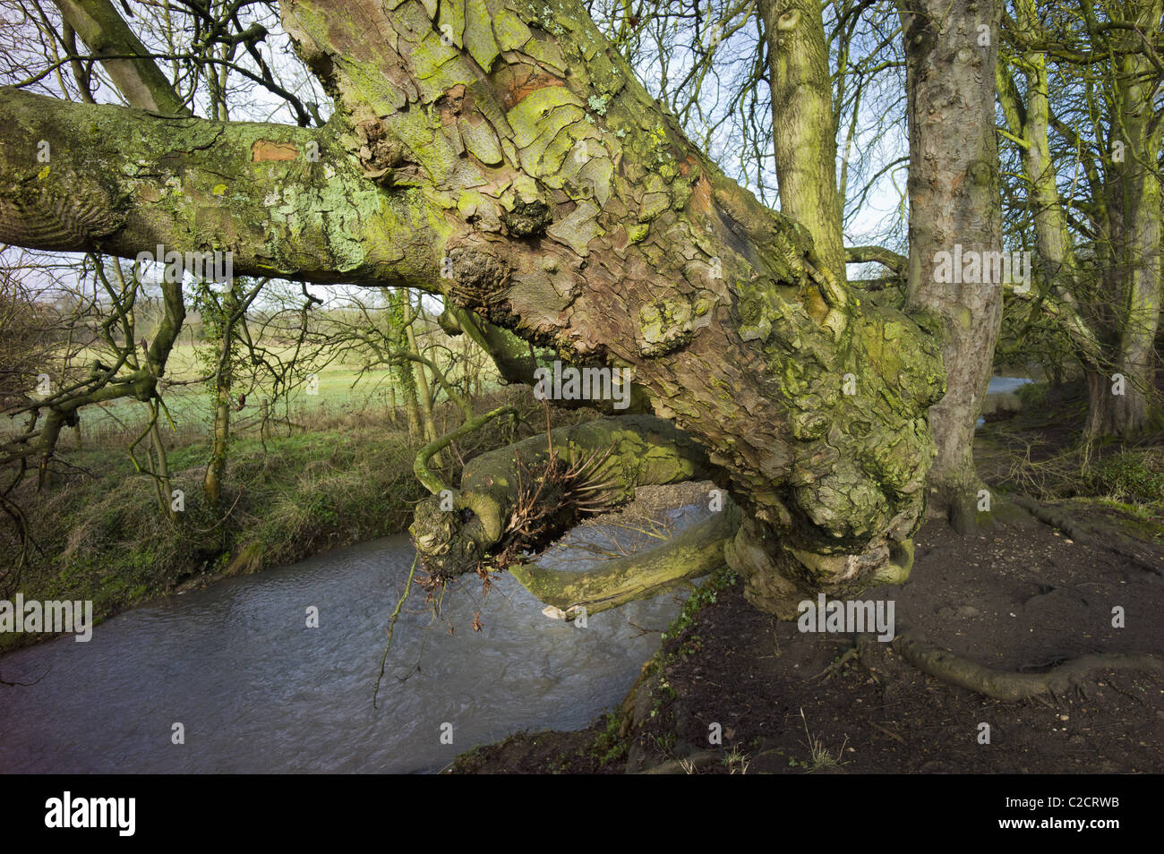 arrow valley country park redditch Stock Photo - Alamy