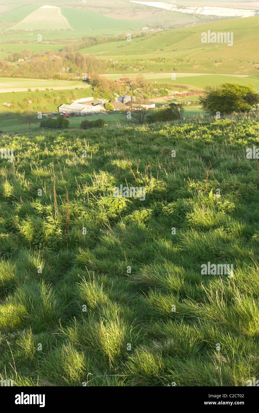 Adur valley hi-res stock photography and images - Alamy