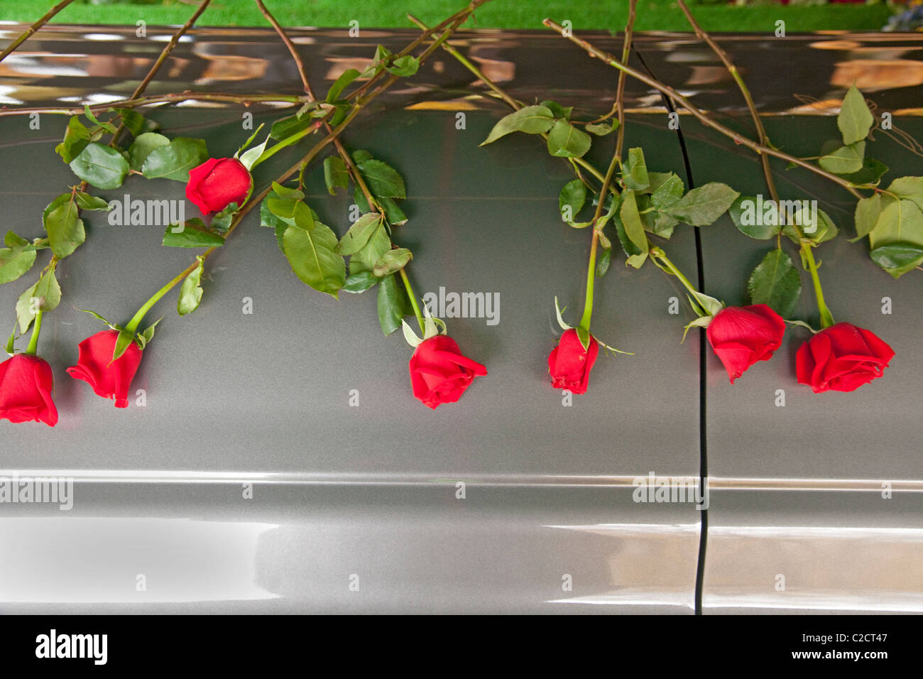 red roses on a casket Stock Photo - Alamy