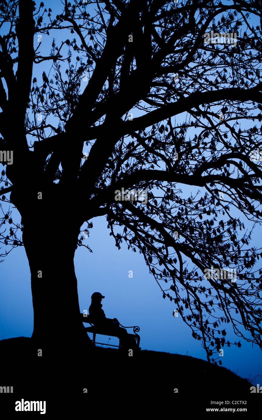 A person sitting alone on a bench Stock Photo - Alamy