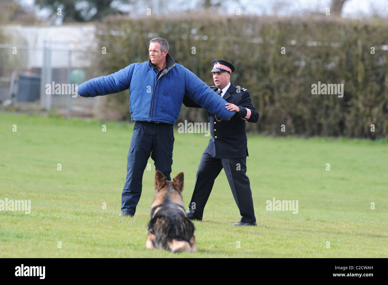 Action from the London Regional Police Dog Trials hosted by the ...