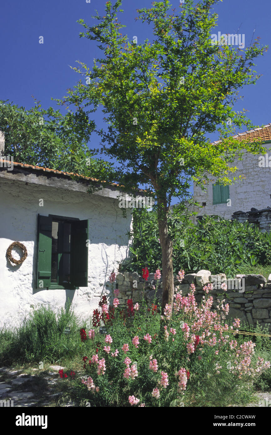 Colourful Garden of Cypriot House Stock Photo - Alamy