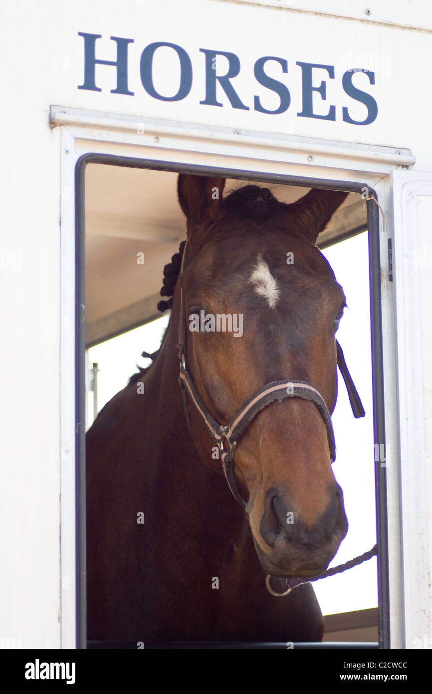 Horse Box High Resolution Stock Photography and Images - Alamy